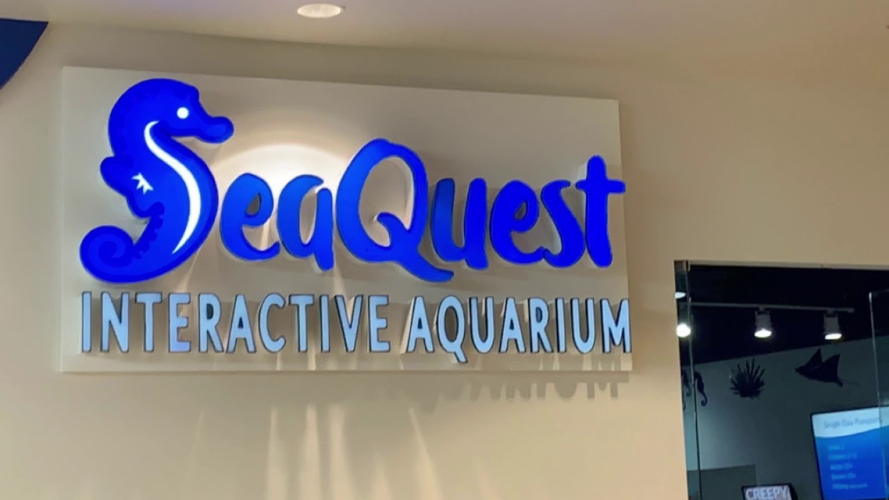 Review: SeaQuest, Fort Worth, TX – Waite for it…
