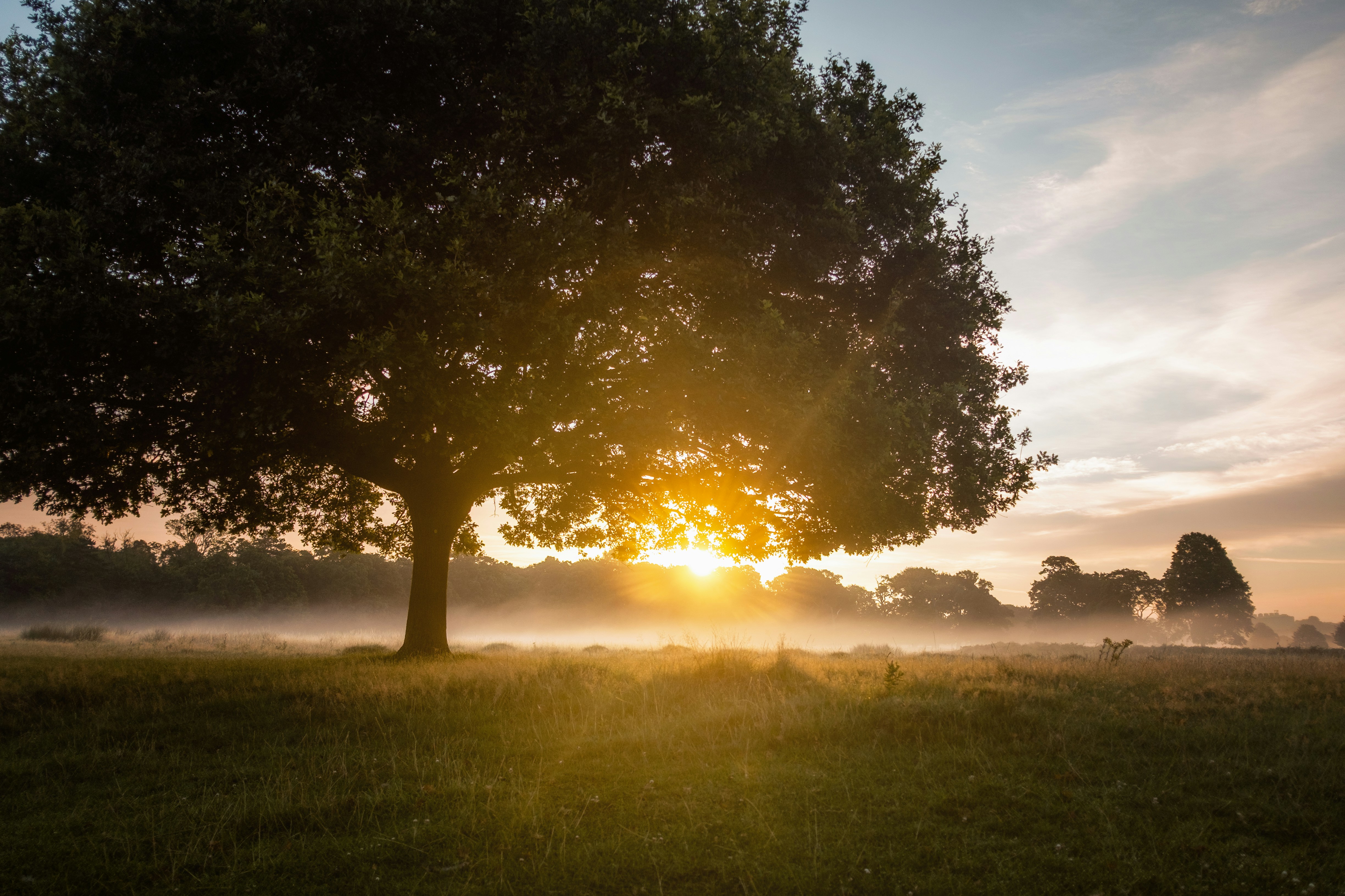 Awake and outside for the dawn – Waite for it…