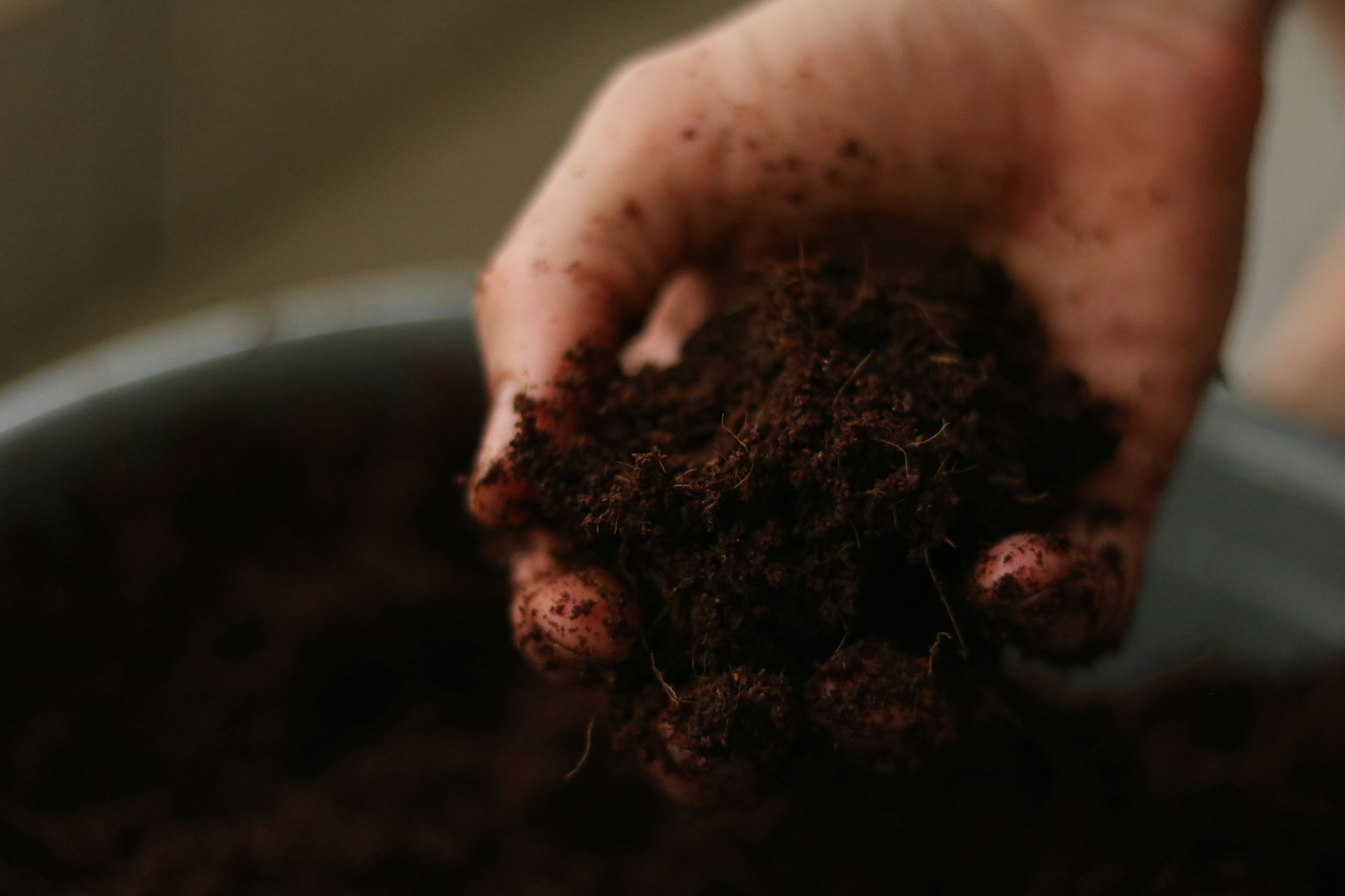 Make me good soil – Waite for it…