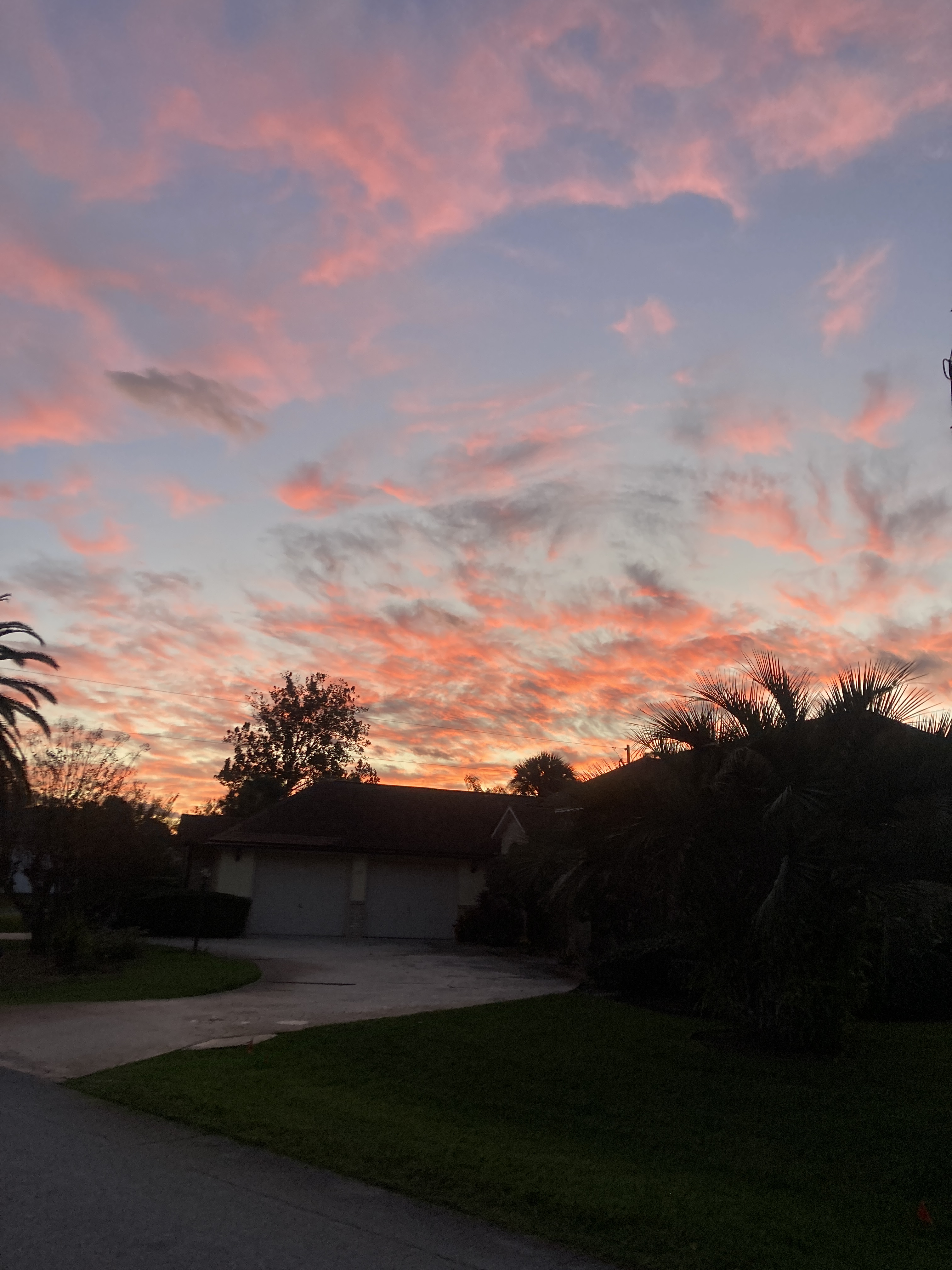 A message through creation – Waite for it…
